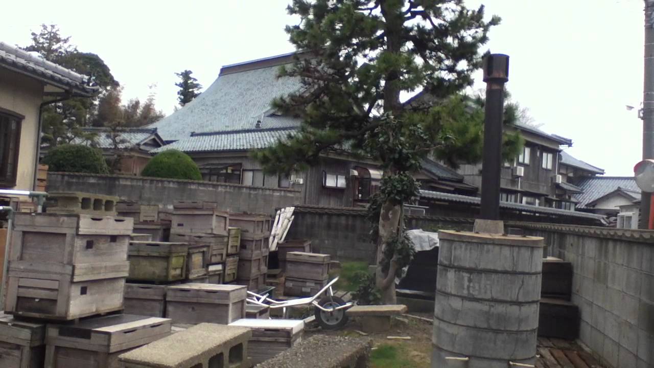 Beekeeping Japan: Caskets of Empty Beehives and no Bees... - YouTube