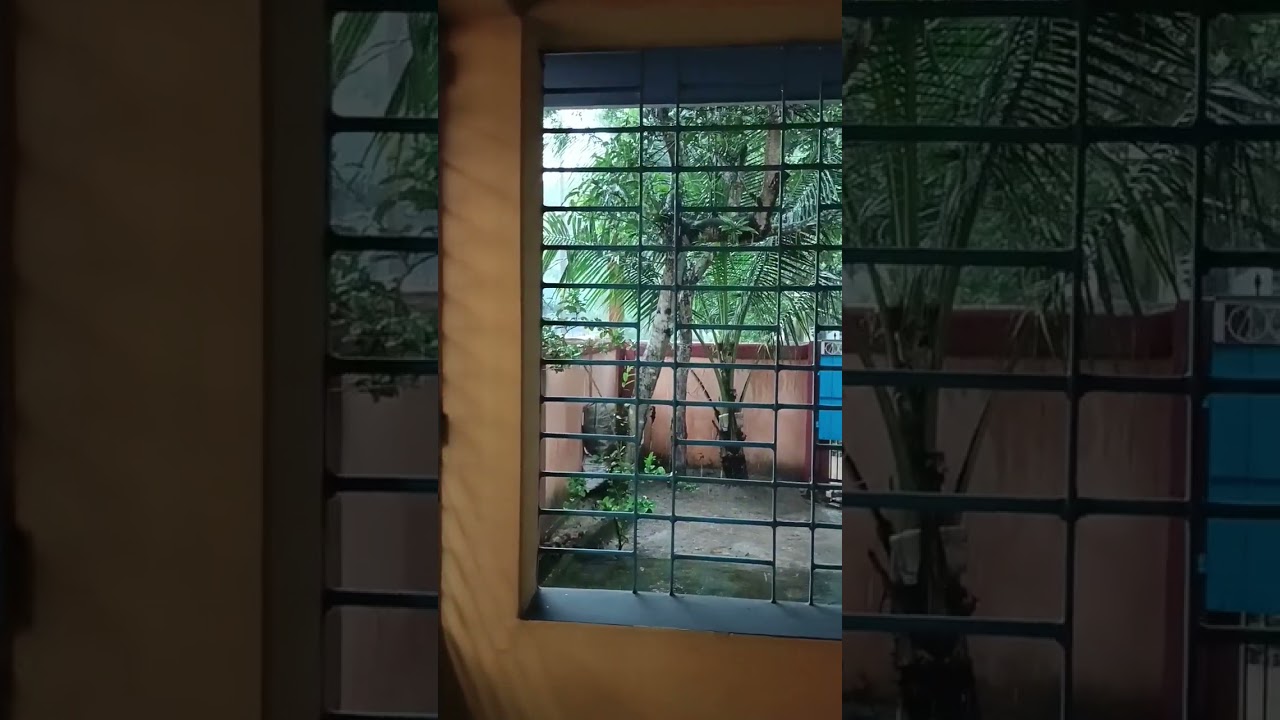 Vivo v27e OIS video sample - rainy day