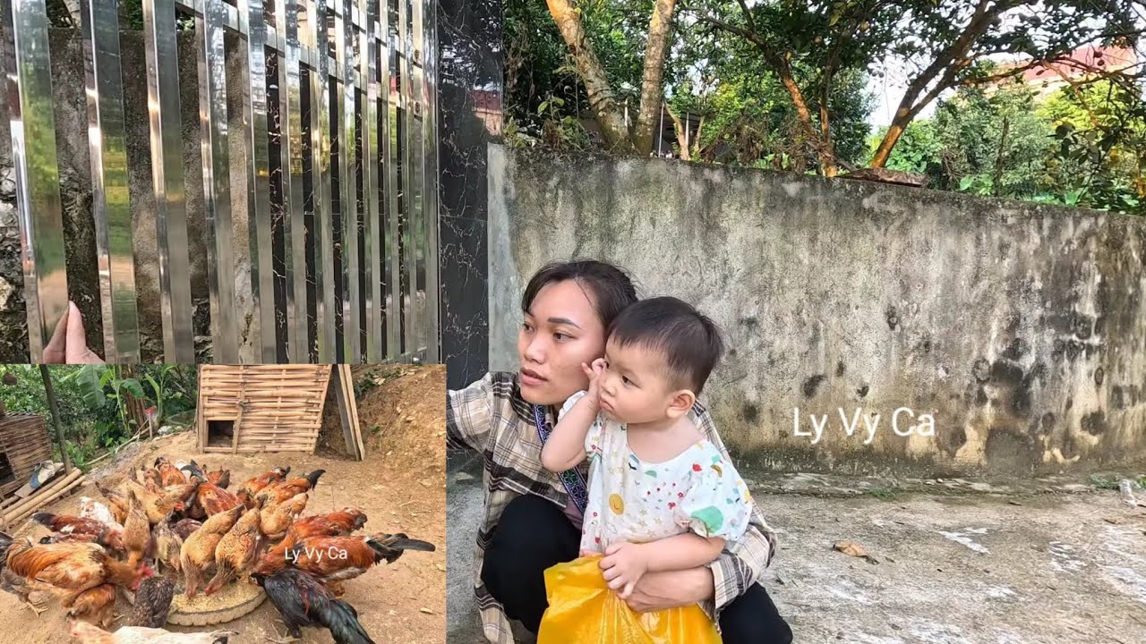 Peaceful life on the farm, taking care of daughter. Ly Vy Ca - YouTube