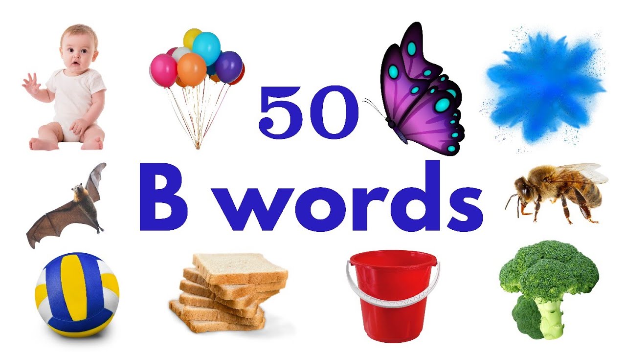 Initial letter B words/B words/Letter B words/Learn letter B/50 B ...