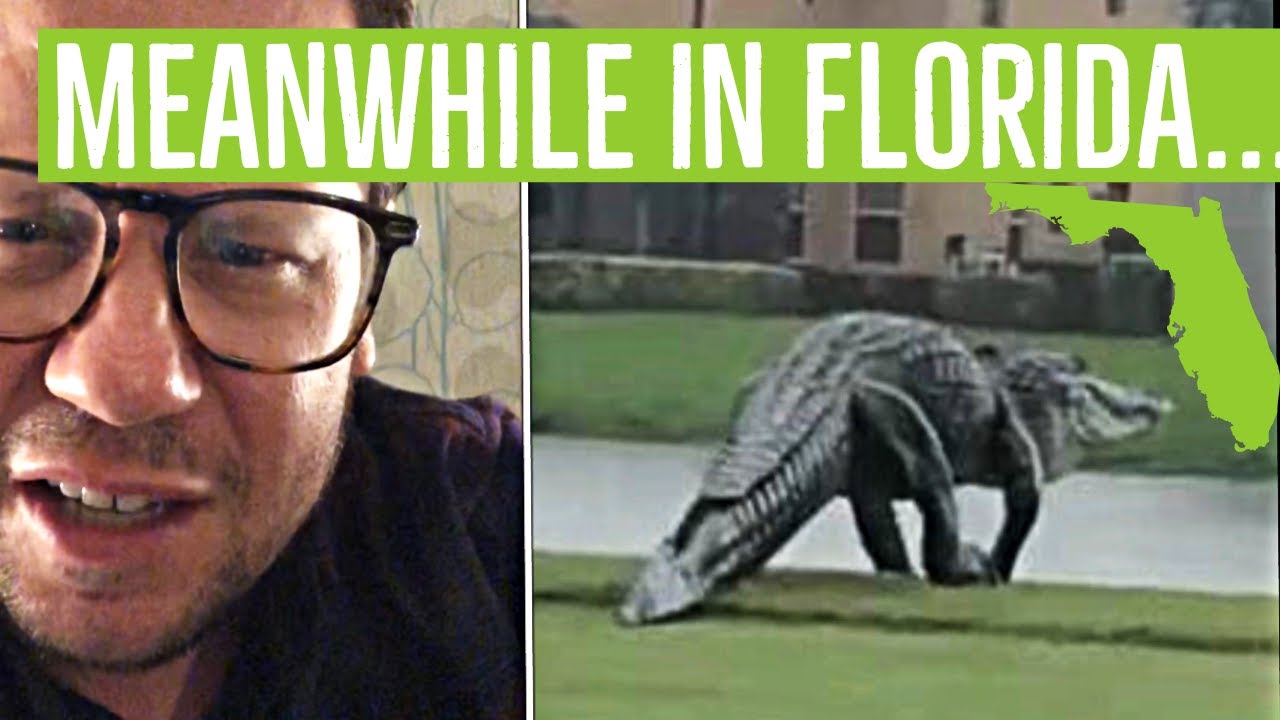 Huge, terrifying alligator monster spotted in Florida ... of course ...