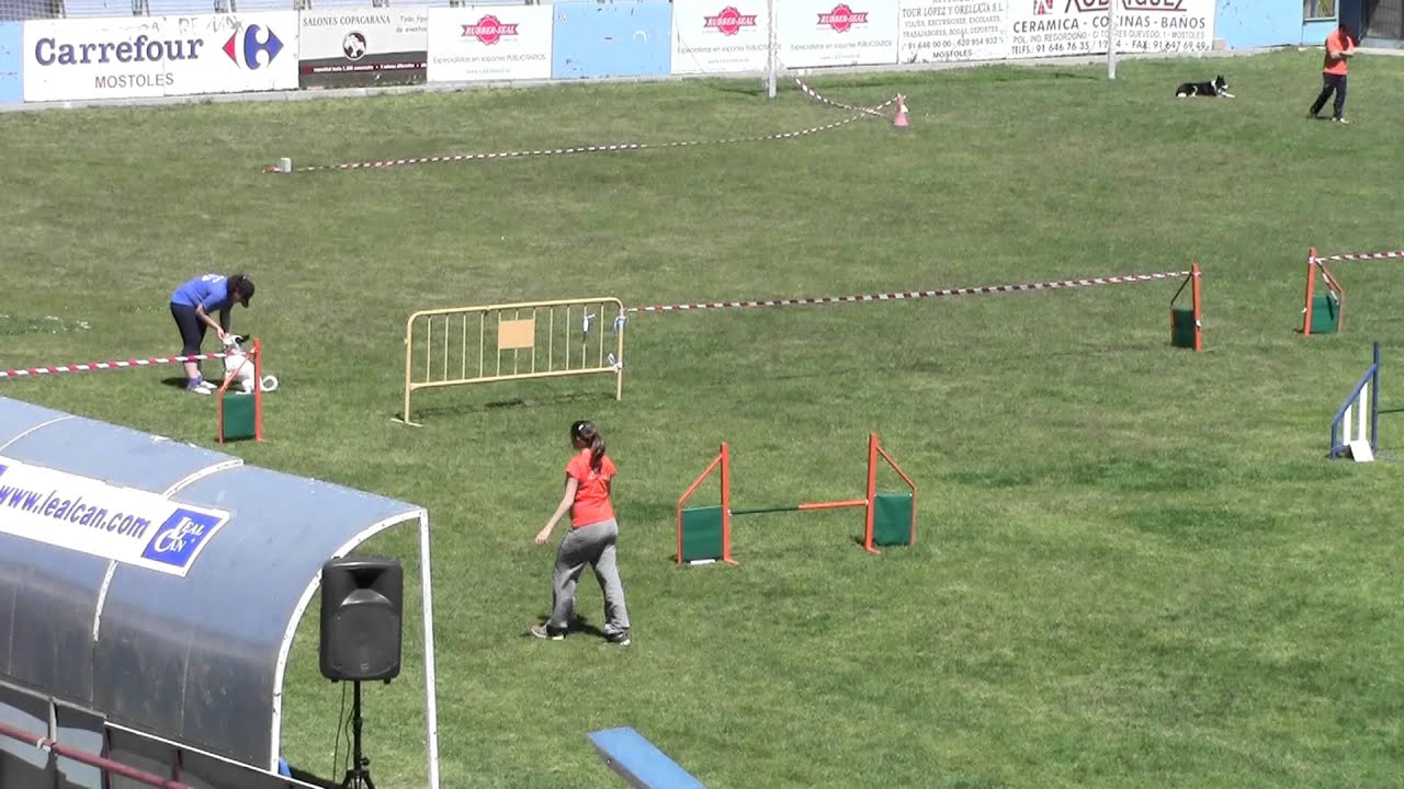 Agility HOOP 4 Mayo 2014 15h16'28'' - YouTube