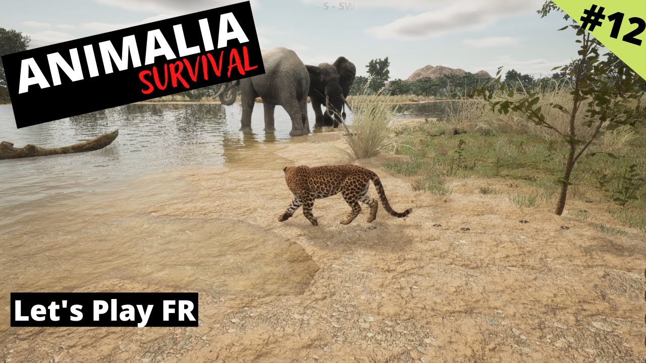 ANIMALIA SURVIVAL #FR - Ep12 - Une map désertique ? - YouTube