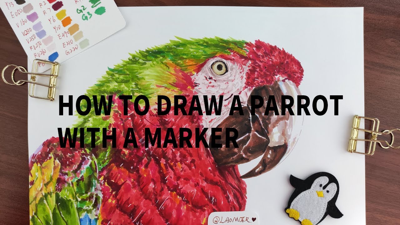 How To Draw A Parrot With A Marker - YouTube