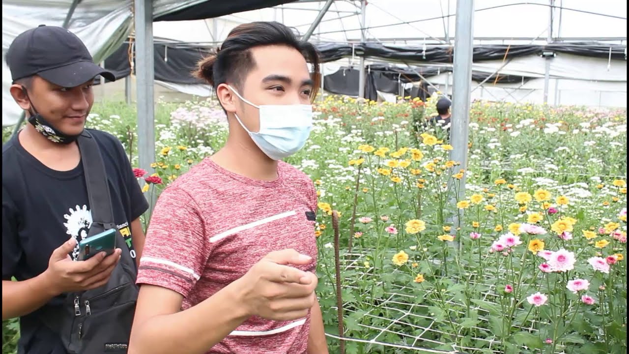 Flower Shopping at INDANG (VLOG) - YouTube