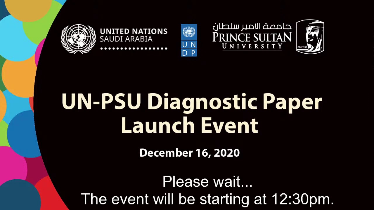 UN PSU Diagnostic Paper Launch Event - YouTube