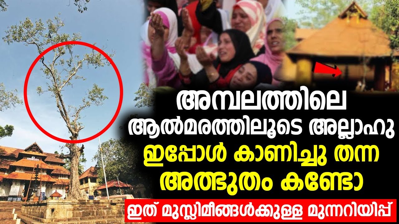 അമ്പലത്തിലെ ആൽമരത്തിലൂടെ അല്ലാഹു മുസ്ലിമീങ്ങൾക്ക് നൽകിയ മുന്നറിയിപ്പ് ...