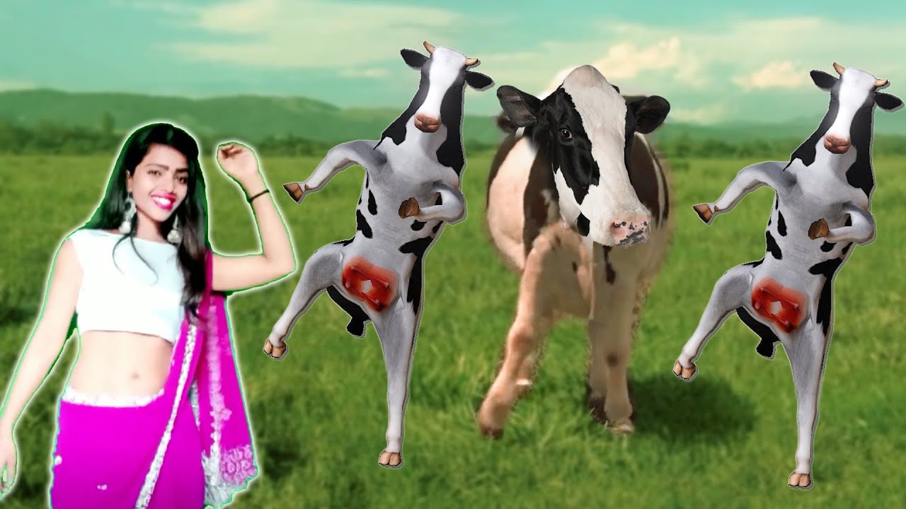 Funny Cow Girl Dancing 🐄 Cow dance in nepali song (Calf Dancing)🐄 - YouTube