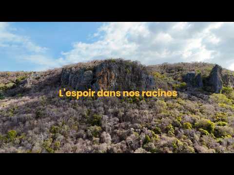 L'espoir dans nos racines - Reportage inédit produit par INDRI