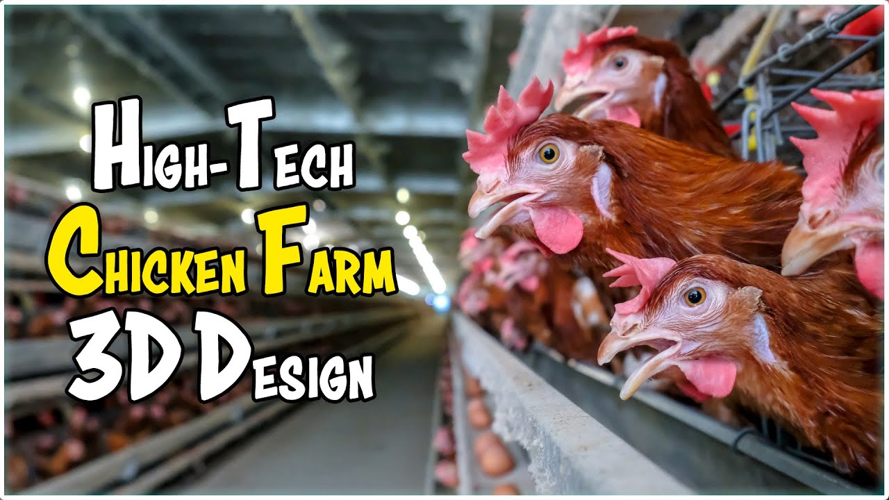 Fully Automated Chicken Farm Design | Poultry Shed 3D Design - YouTube