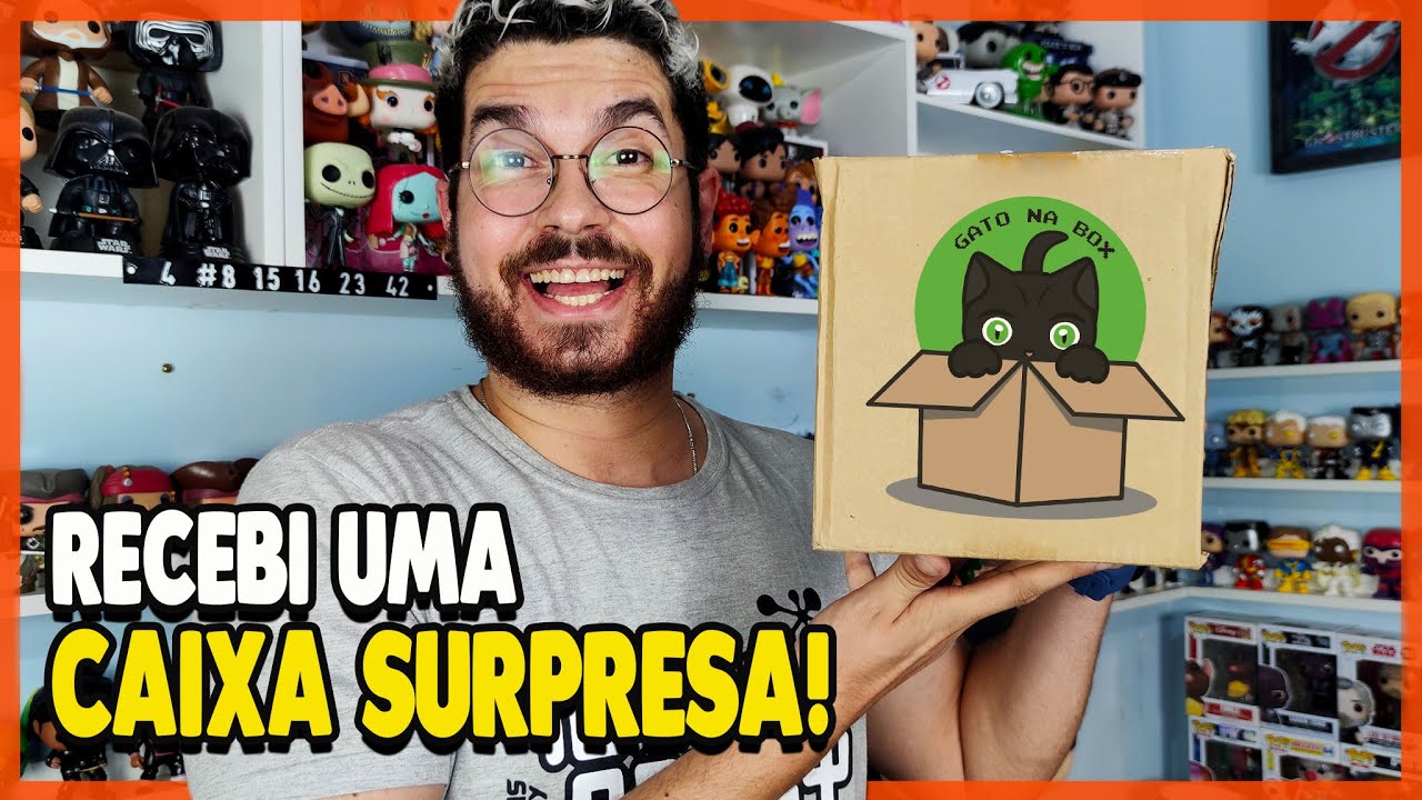 CHEGOU UMA CAIXA SURPRESA DA GATO NA BOX MARAVILHOSA | UNBOXING - YouTube