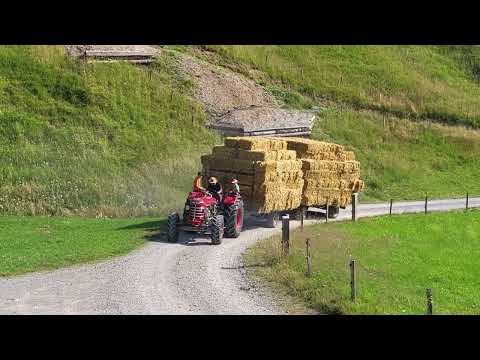 Hürlimann D200 Allrad Synchromat