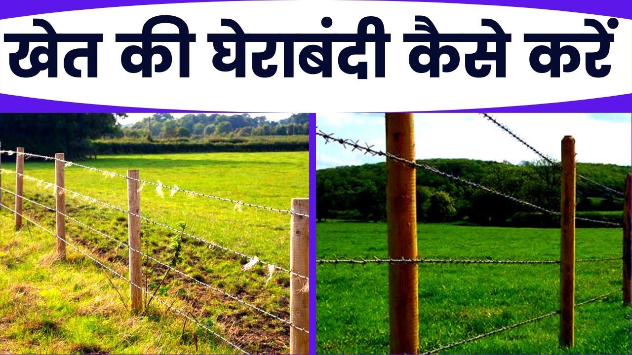 खेत की घेराबंदी कैसे करे || Khet ki Tarbandi Kaise Kare || खेत में ...