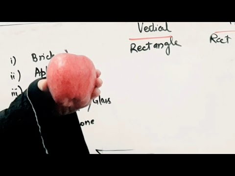 What cross sections do you get when you give a vertical cut horizontal ...