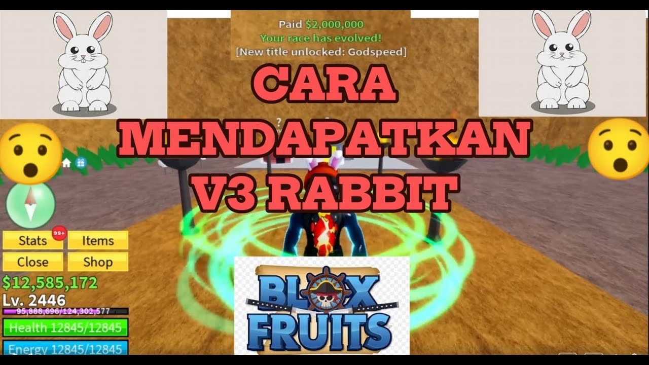 Petualangan Blox Fruits Turorial mendapatkan V3 Rabbit - YouTube
