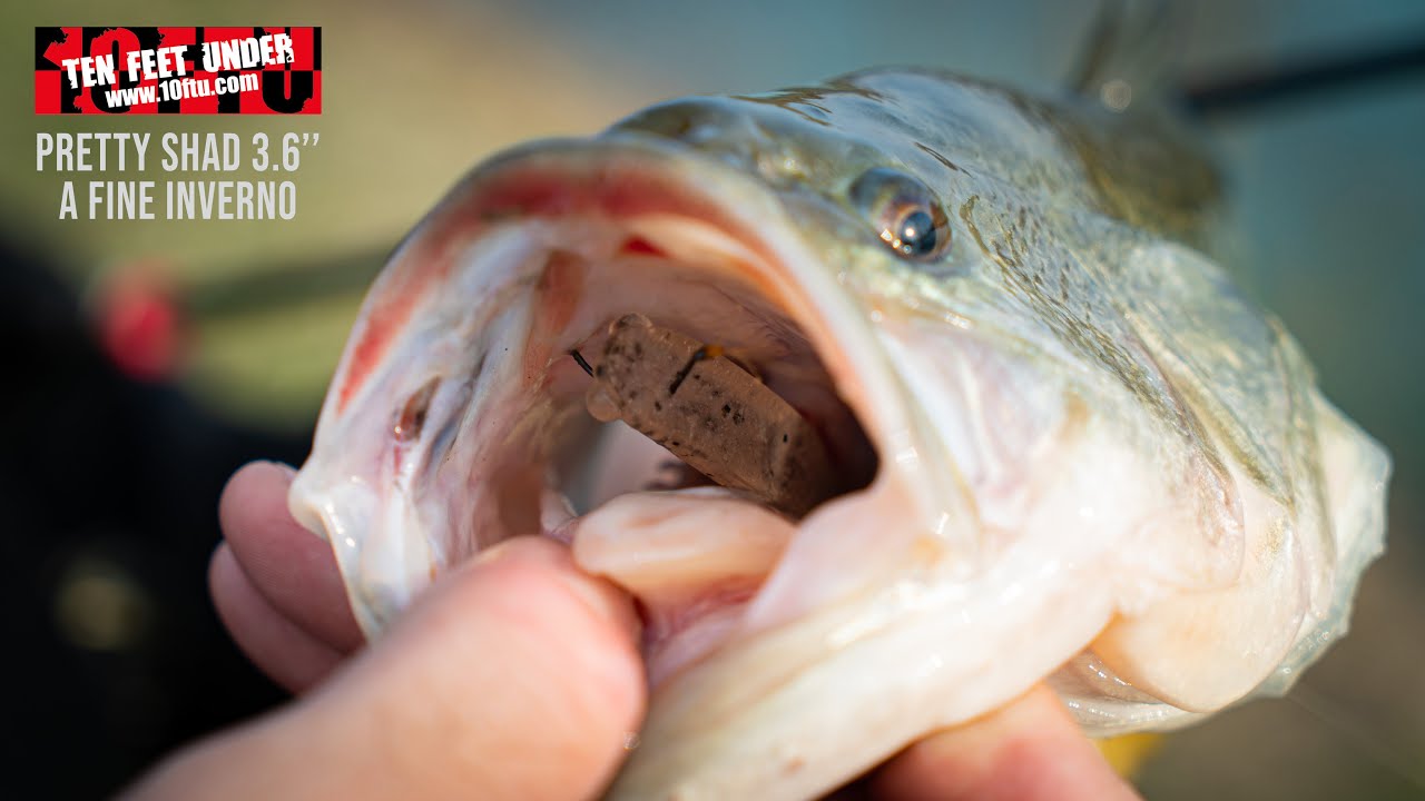 Pretty Shad 3.6'' a fine inverno - Bass Fishing Finesse con Luca ...