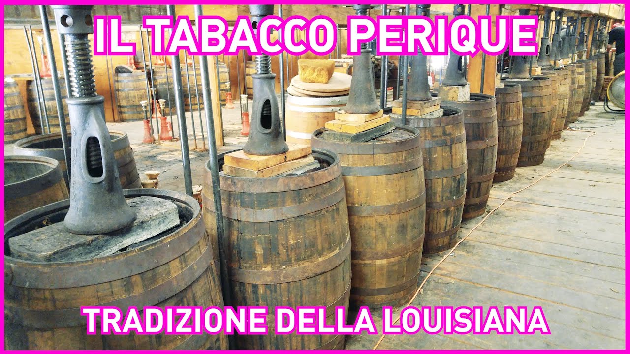 Il Perique, tradizione della Louisiana - YouTube
