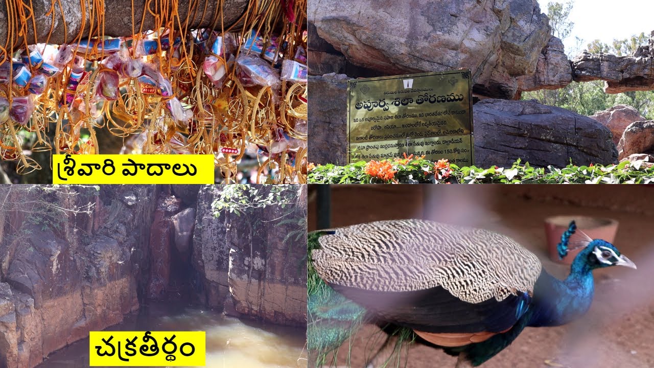 Chakra Theertham Tirumala |tirumala tirupati | silathoranam in tirumala ...