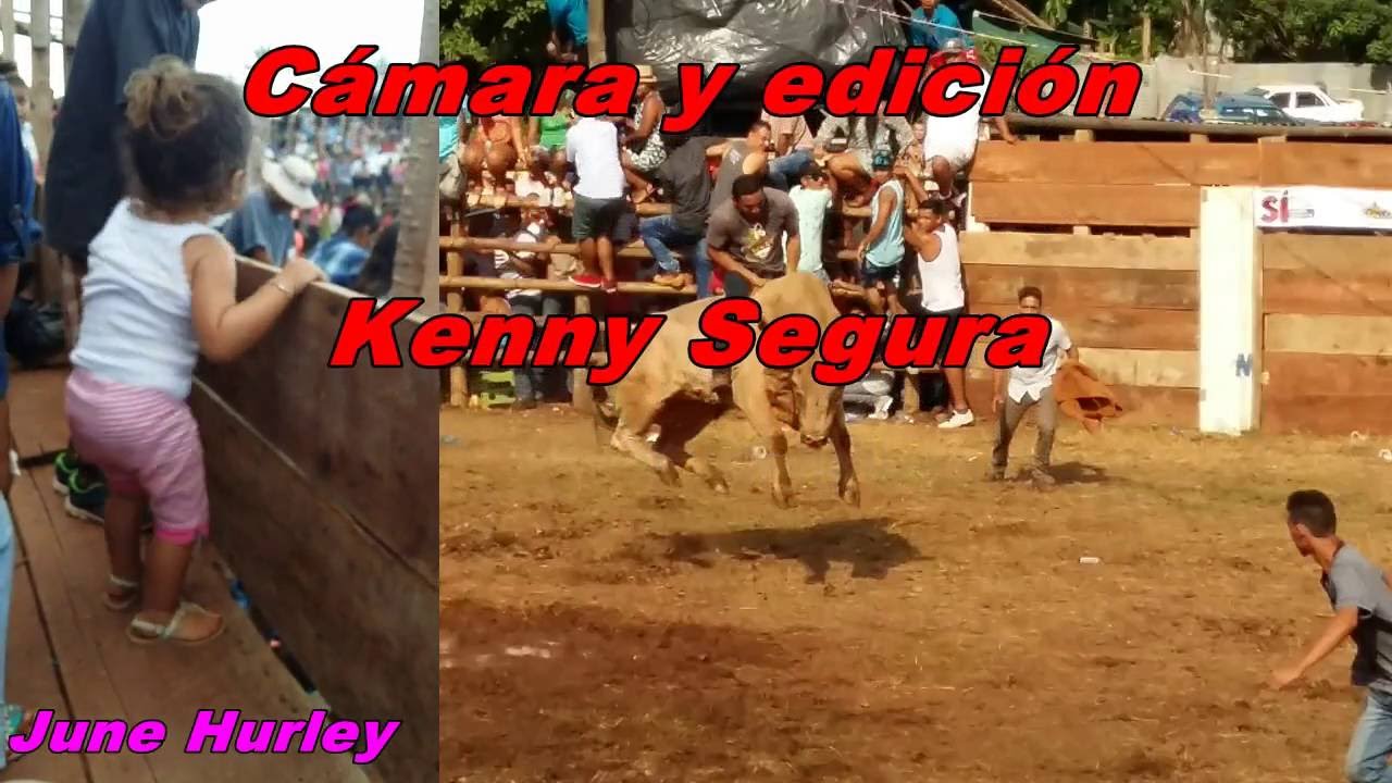 Montas de Toros en Santa Cruz, Guanacaste, Costa Rica. - YouTube