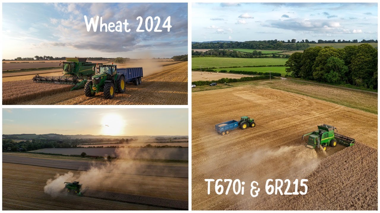 Wheat Harvest 2024 - Raymond Farming - YouTube