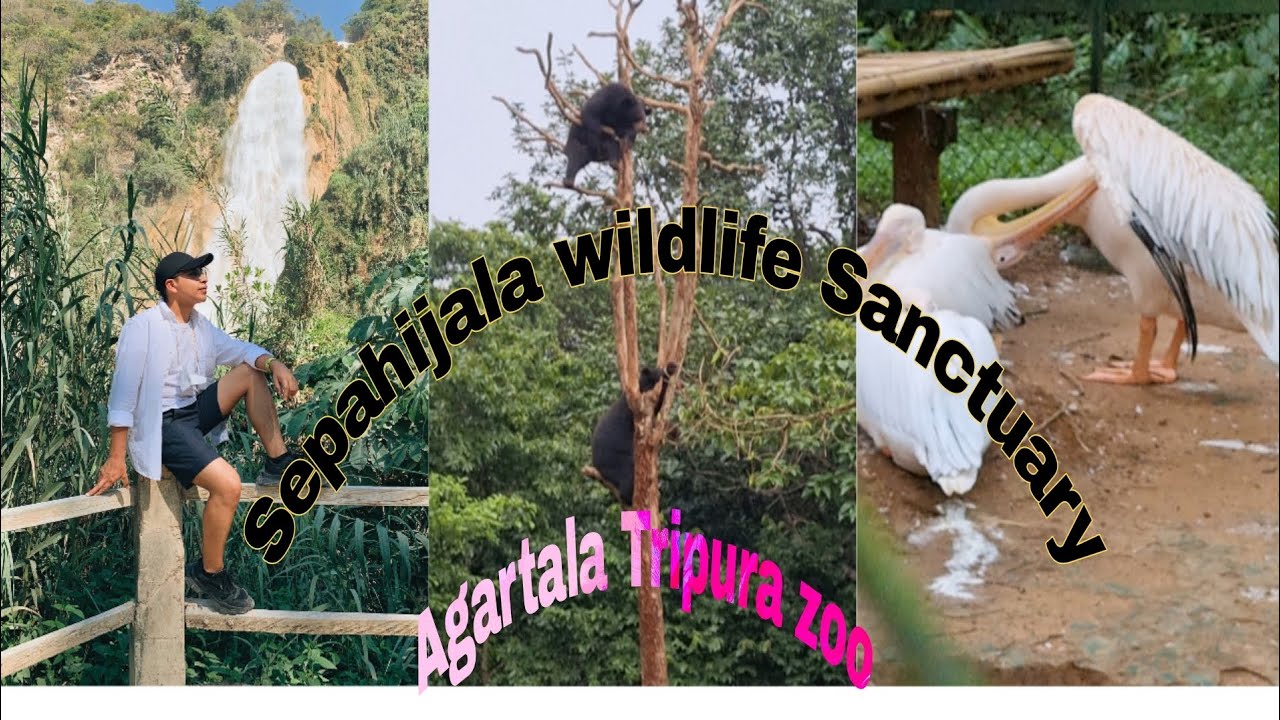 Sepahijala wildlife Sanctuary|Tripura Agartala zoo| animals lover # ...
