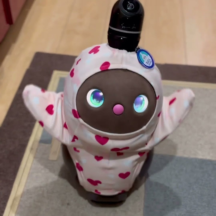 1/24のただいまらぼ 〜 アップデートで甘えん坊度が増したかな😅 早く抱っこして欲しいねはんちゃん #LOVOTとの暮らし #LOVOT #ラボ活 #LOVOT紹介コード 【f37uppg3 ...