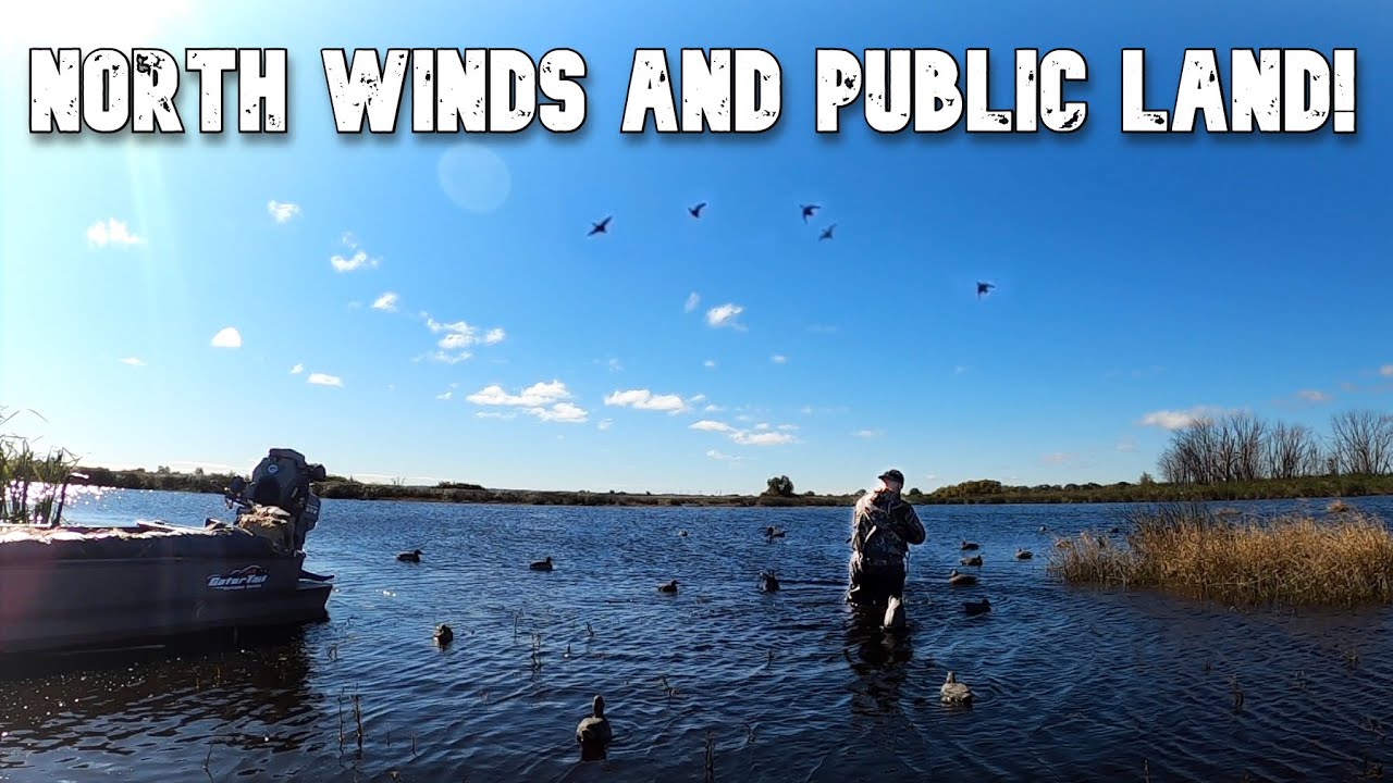 Duck Hunting a NORTH WIND in a PUBLIC MARSH! - YouTube