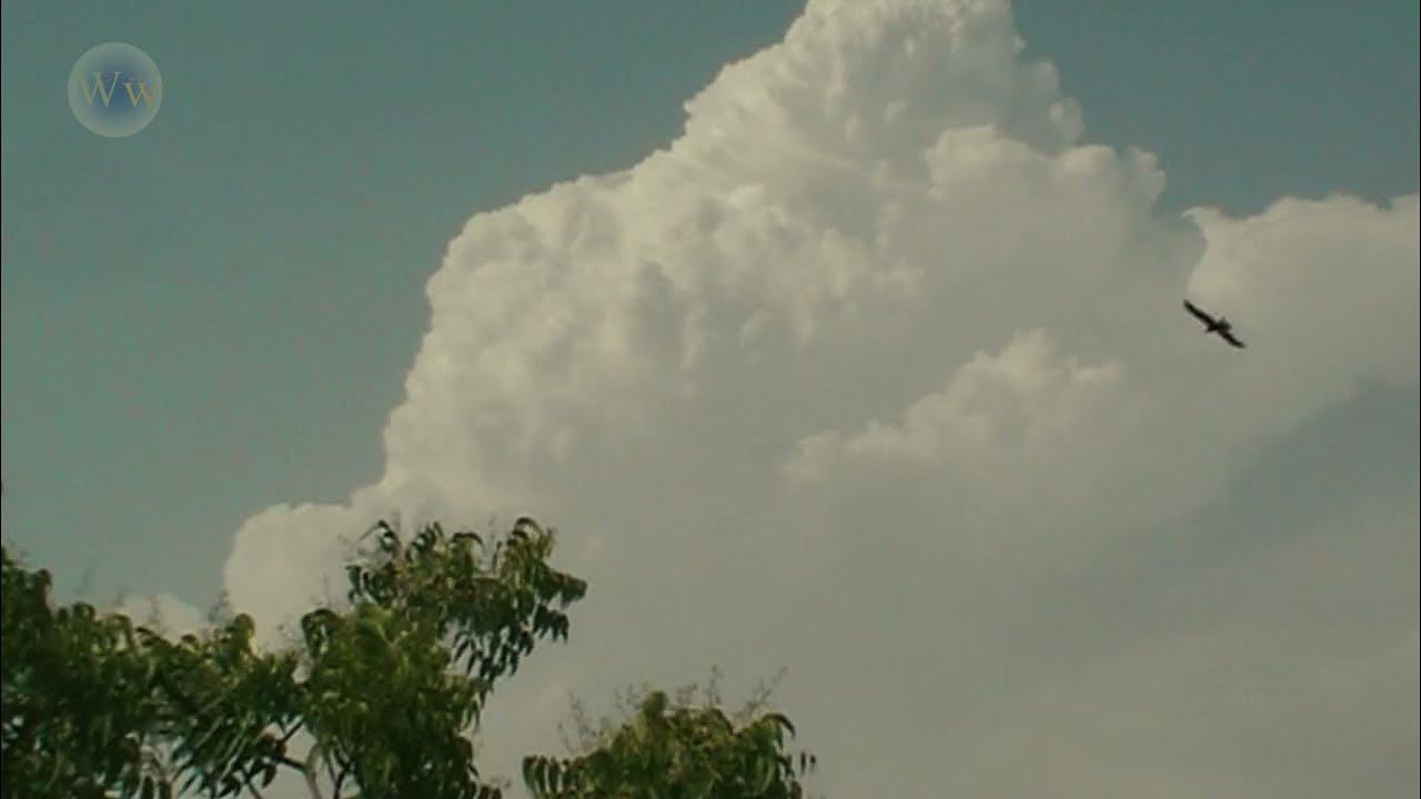 Amazing Storm Time lapse | The Rise of Cumulonimbus clouds & Learn Why ...