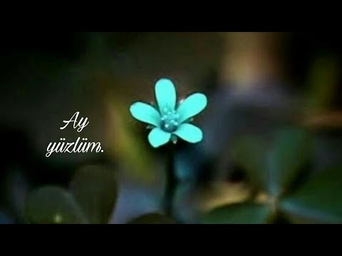 Ay yüzlüm.  Arka fonlarınızda gönül  rahatlığıyla kulanabileceginiz. Fon müziği.  Gitar. Telifsiz.