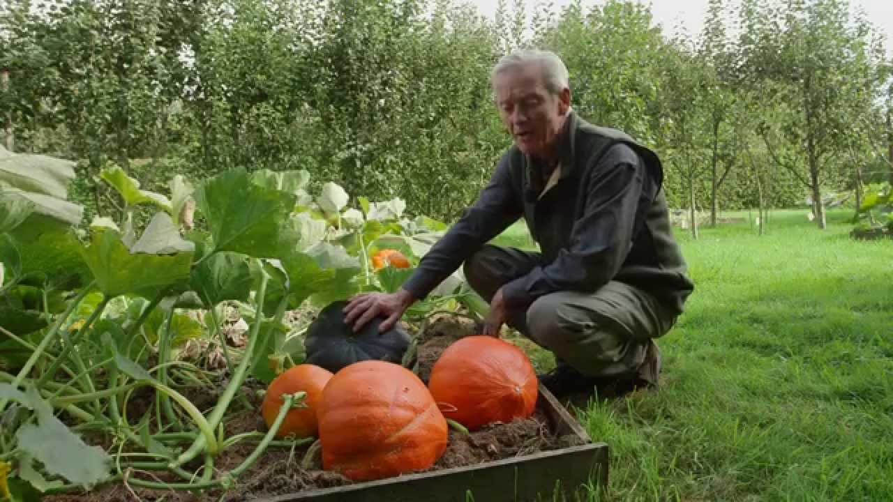 Normandy : the "Ferme Ornée" - YouTube