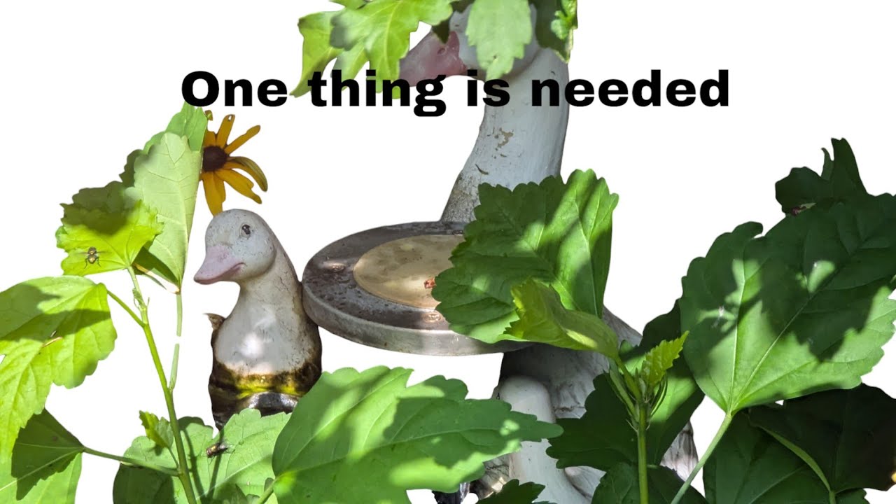 One thing is needed - YouTube