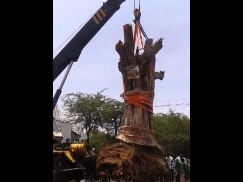 Arasamaram - YouTube