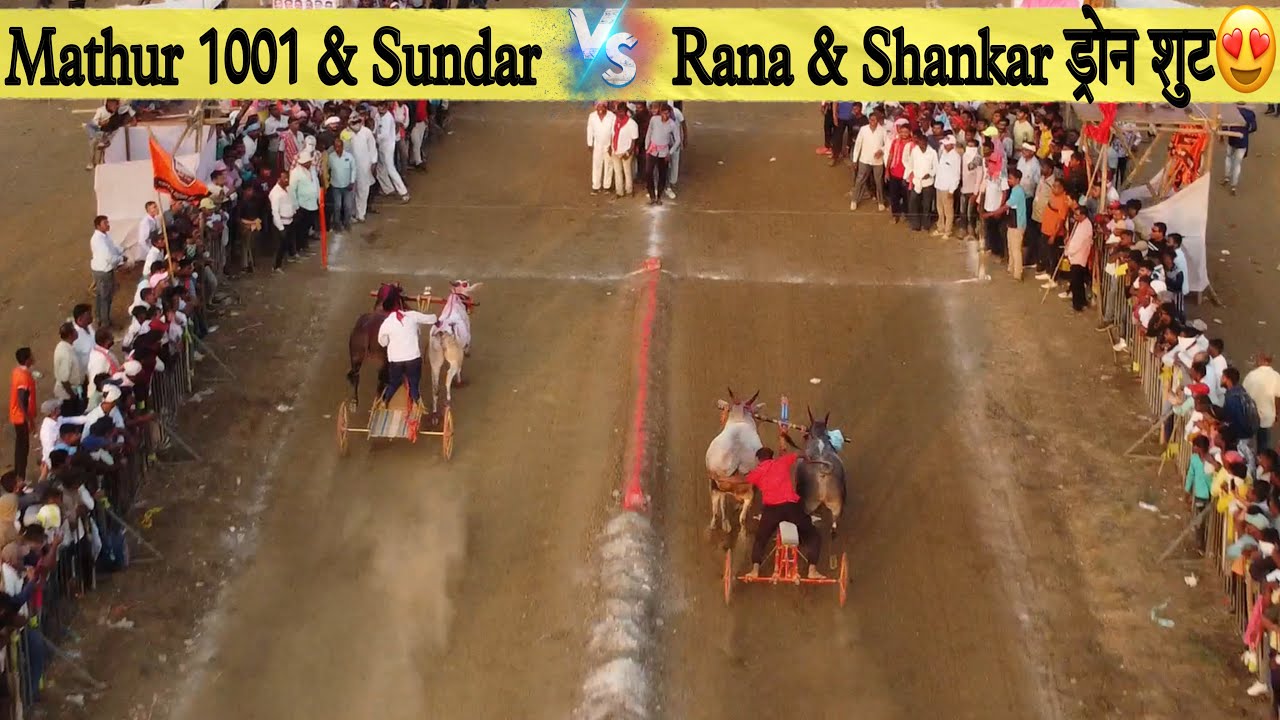 Mathur 1001 & Sundar 🆚 Rana & Shankar शर्यत ड्रोन व्हिडीओ😍 #mathur1001 ...
