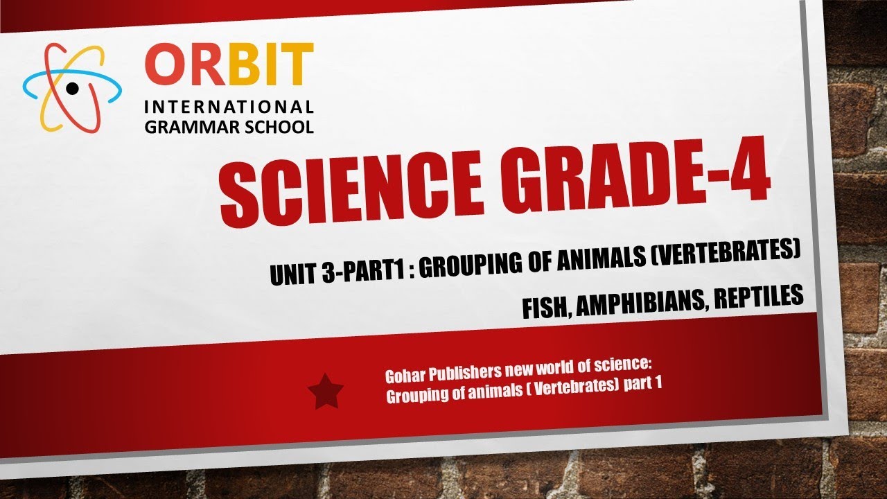 Science Grade 4 Unit 3: Grouping of Animals Part-1 (Fish, amphibians ...