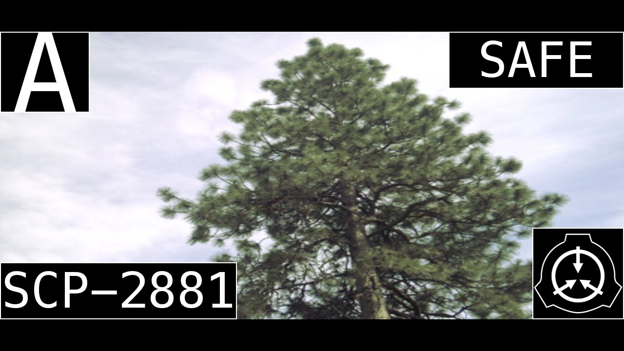 SCP-2881 "The Tree You Cannot Climb" [SCP Wikidot] - YouTube
