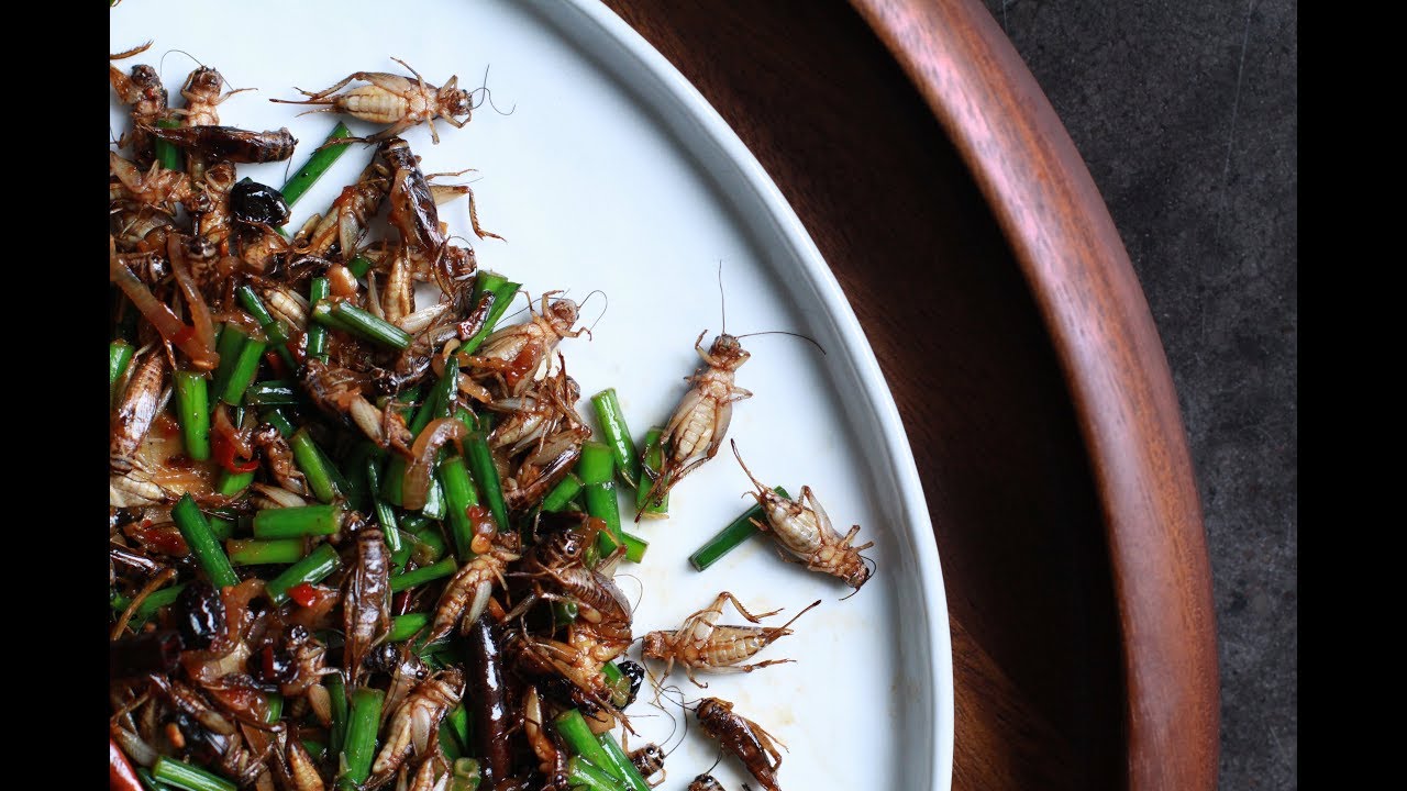 Andrew Zimmern Cooks: Wok Tossed Crickets In Black Bean Sauce - YouTube