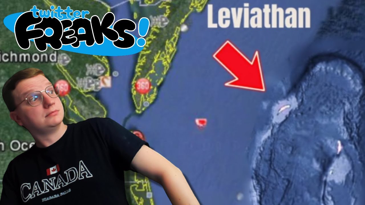 SO THATS WHAT THEY WERE HIDING - Twitter Freax - YouTube