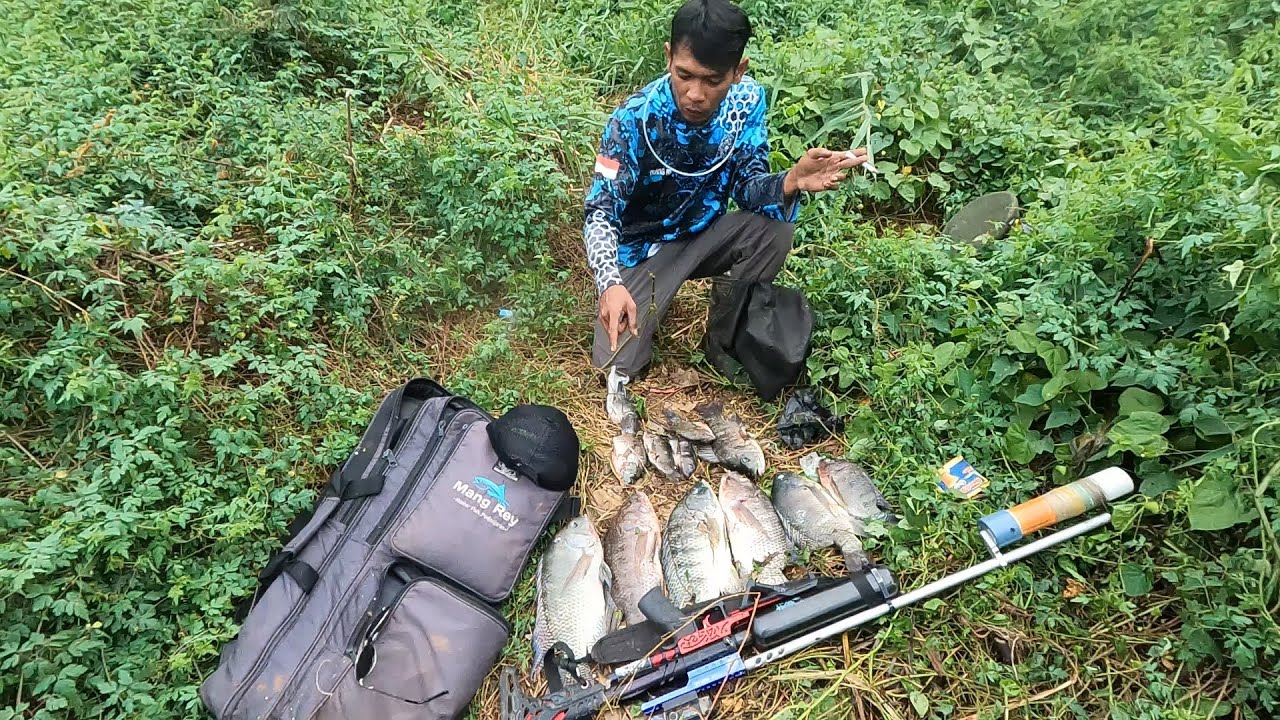 spot Jarang ke jamah orang ikan mujaer gede" - YouTube