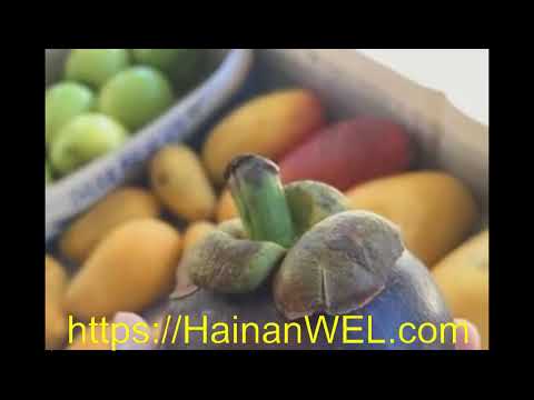 The most popular tropical fruits in Sanya, Hainan Island, China - YouTube