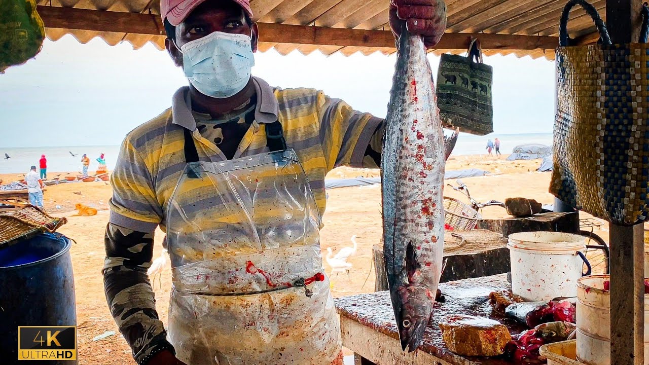 Fastest fish cutting skills 🔥 | Srilankan fish trimming - YouTube