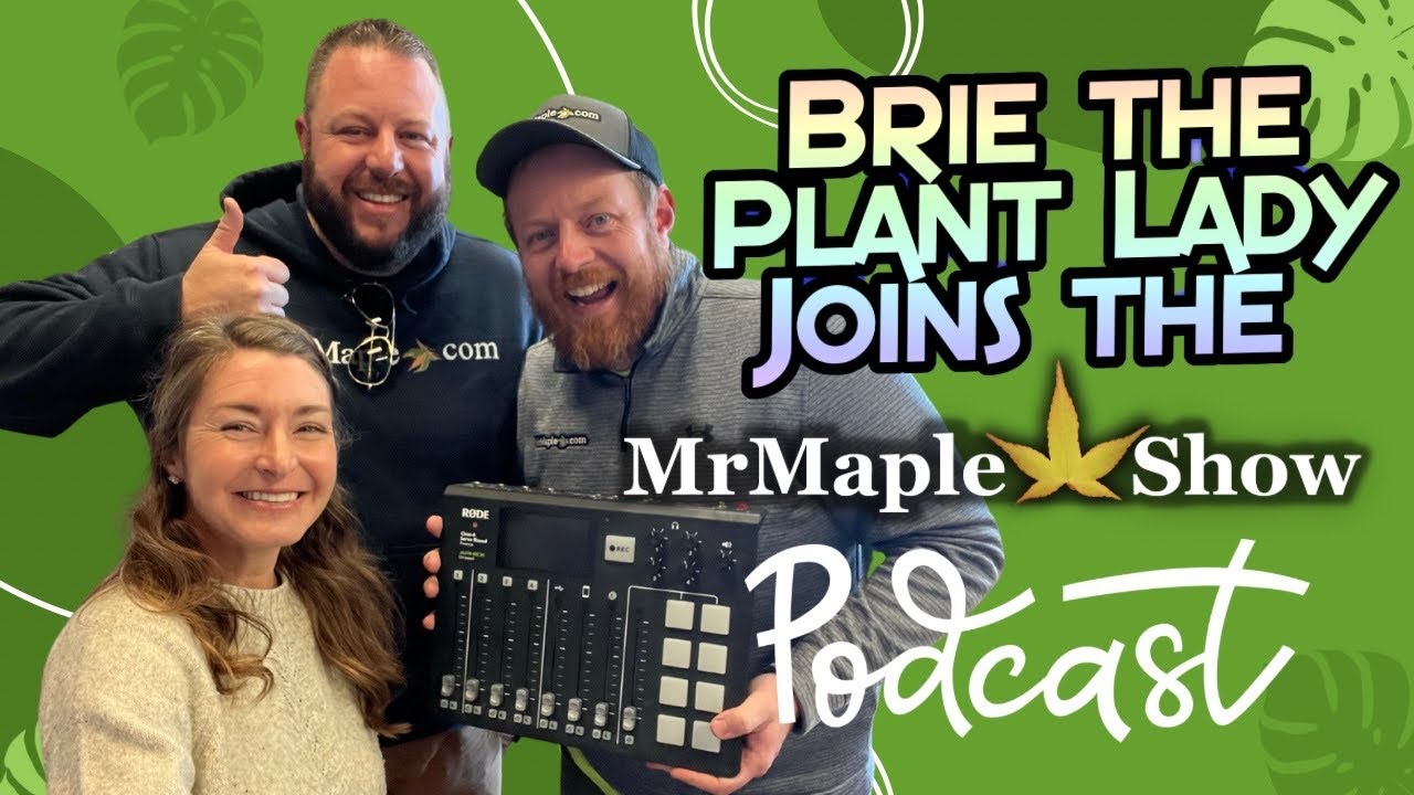 Brie The Plant Lady Talks All Things Gardening! Author Brie Arthur ...