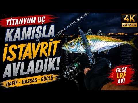 🎣 TİTANYUM UÇ KAMIŞLA TAKOZ İSTAVRİT AVLADIK !!! | Gece LRF Avı | İstanbul.