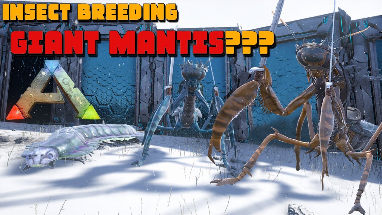 ARK: Insect Breeding A GIANT MANTIS!! & Arthropluera Mutations!! - YouTube