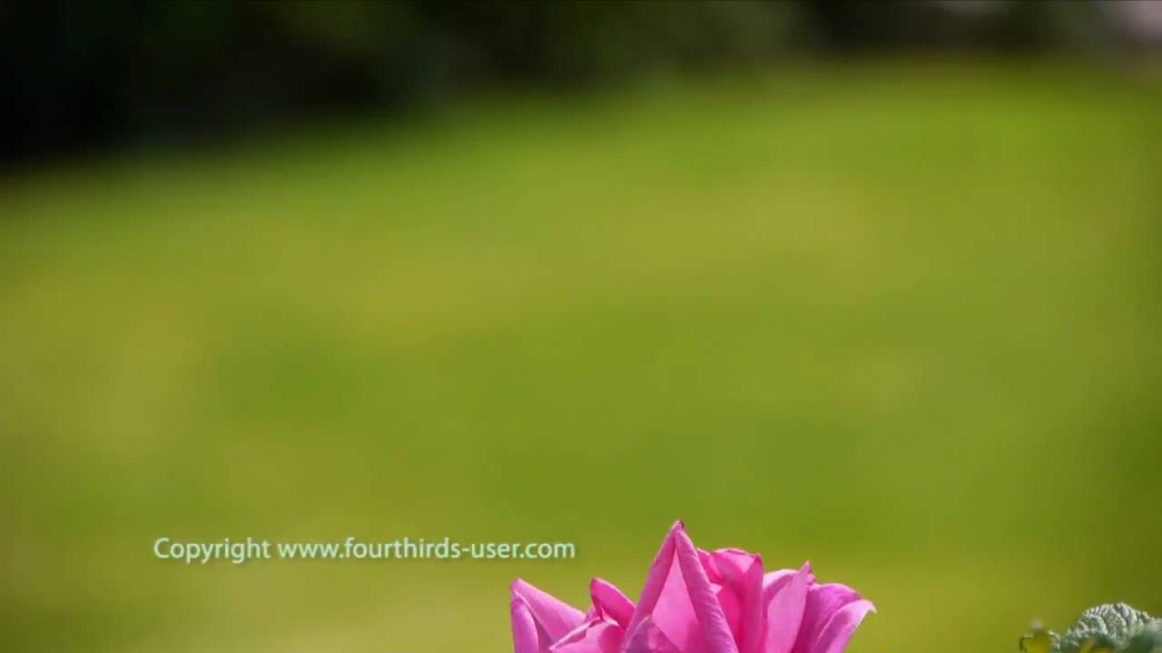 Panasonic Lumix DMC-GH1 sample video - auto focus transition