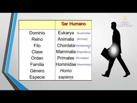 Categoría Taxonómica del ser humano clase 2 – Octavo Grado – Ciencias ...