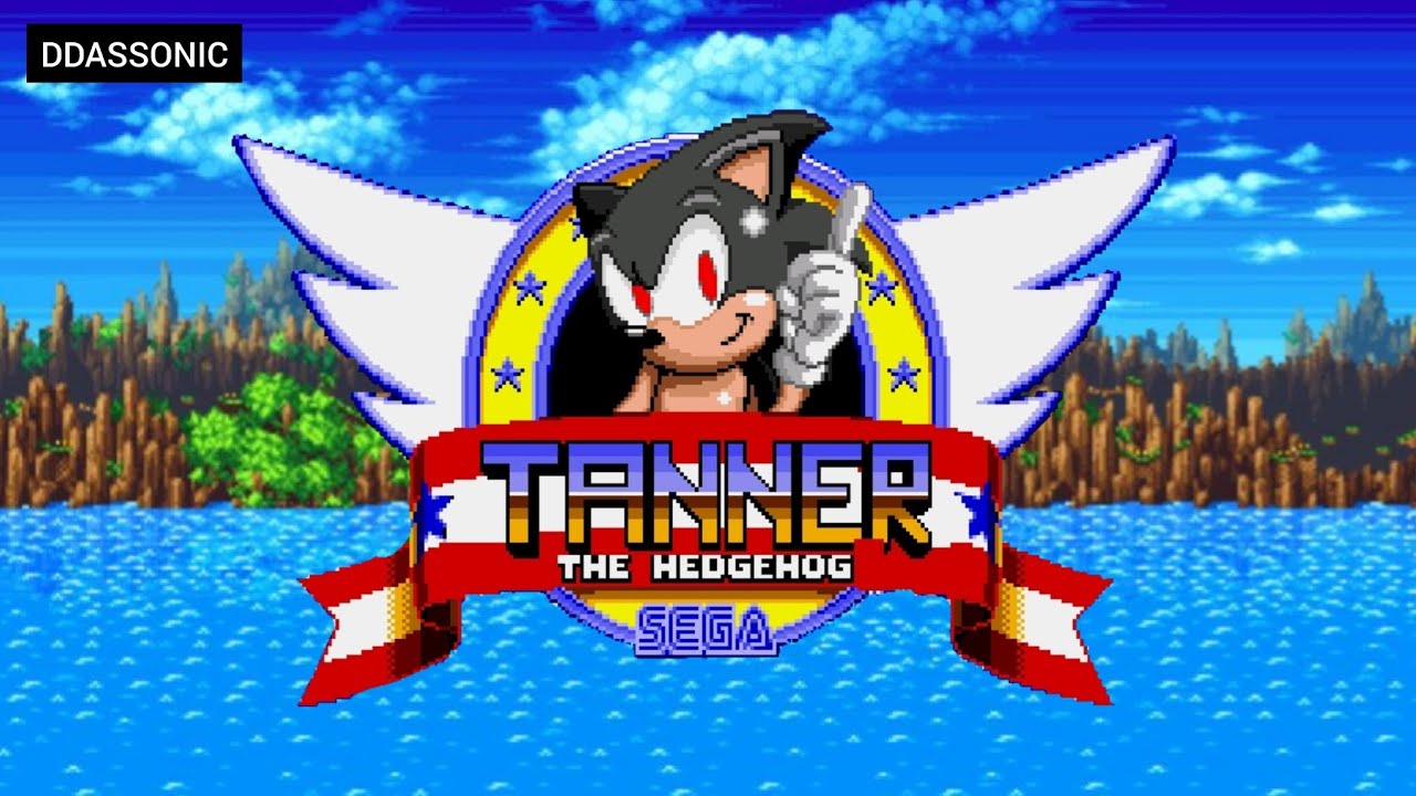 Tanner The Hedgehog | Sonic Hack Longplay - YouTube