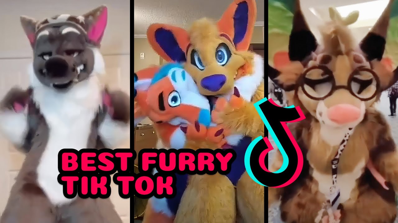 Best Furry TikToks 🐯 Fursuit TikToks Compilation [ Ep 137 ] - YouTube