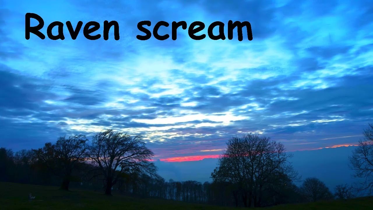 🐾🌔 RAVEN SCREAM 8 Hours - Crow sound effect , winter ambience scary ...