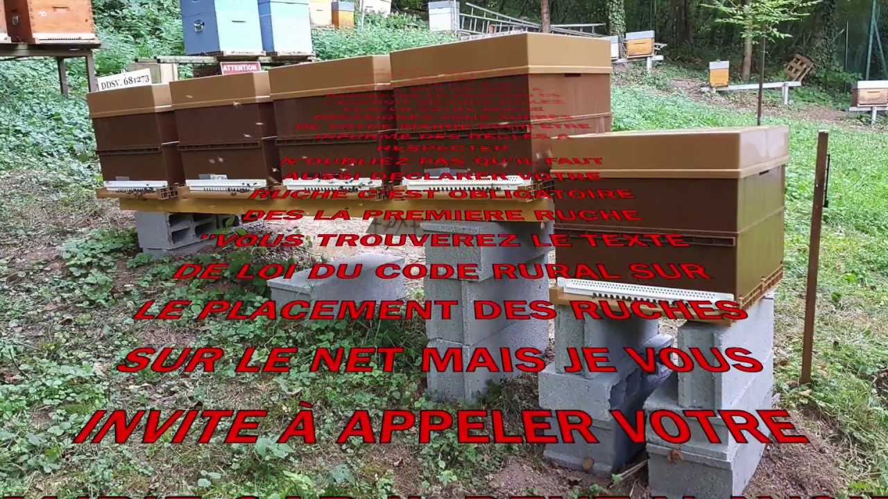 Apiculture: Equipement de base pour débuter en apiculture - YouTube
