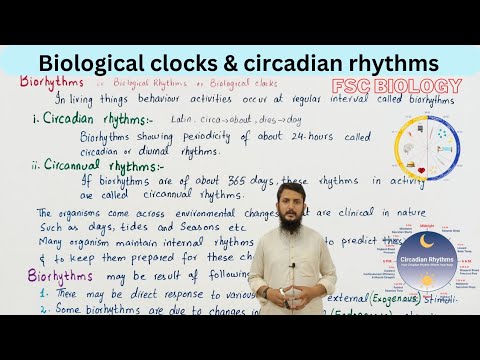 Biological clocks and circadian rhythms - YouTube